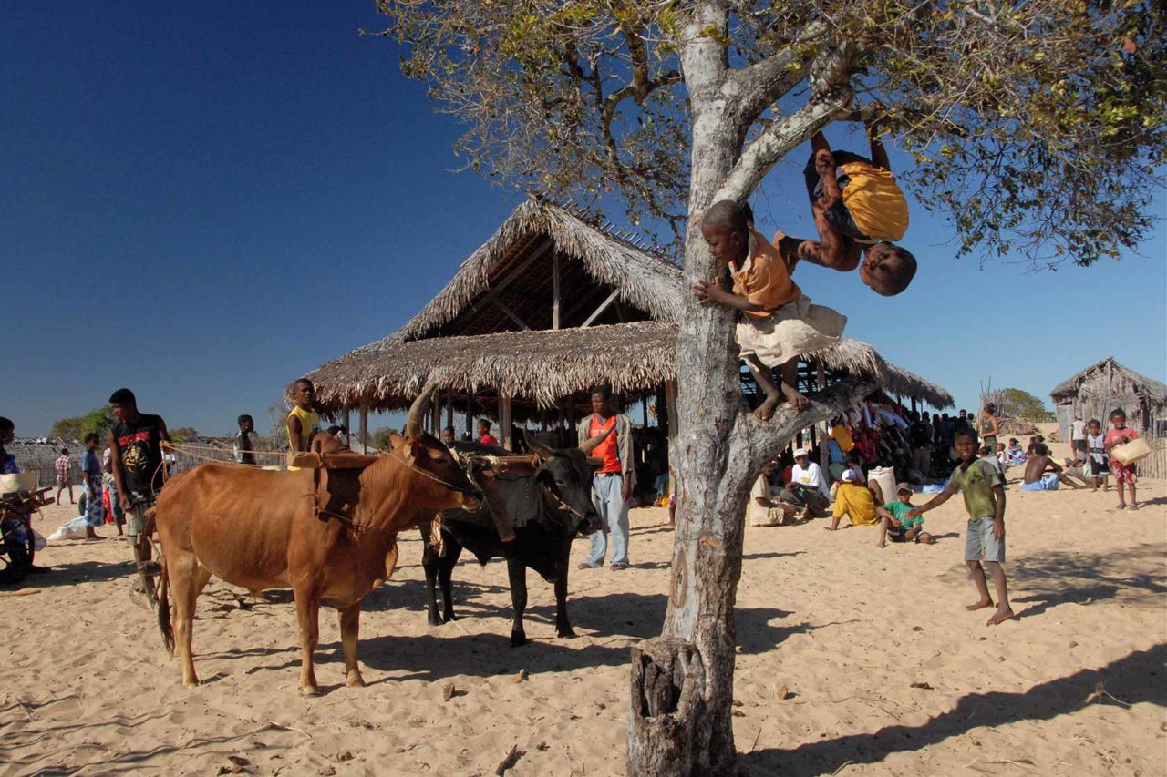 Social Integration | Anjajavy | Development Projects